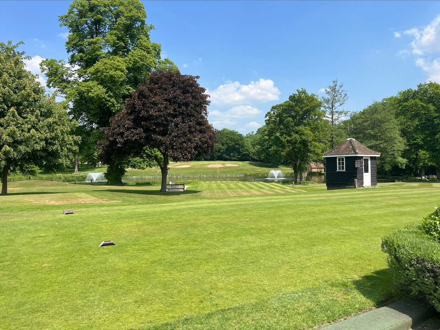 Estate Agents Calcot - Prospect