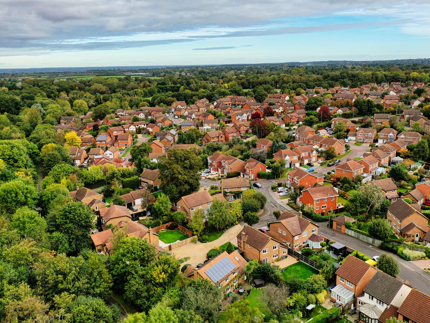 Warfield Area Guide - Prospect